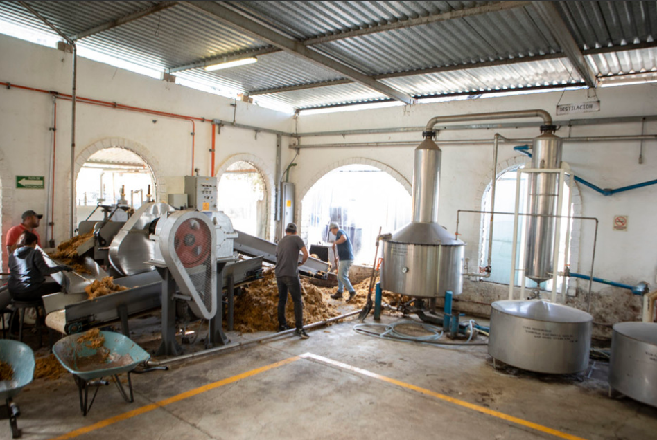 NOM 1616 – San Francisco Tequila Shop