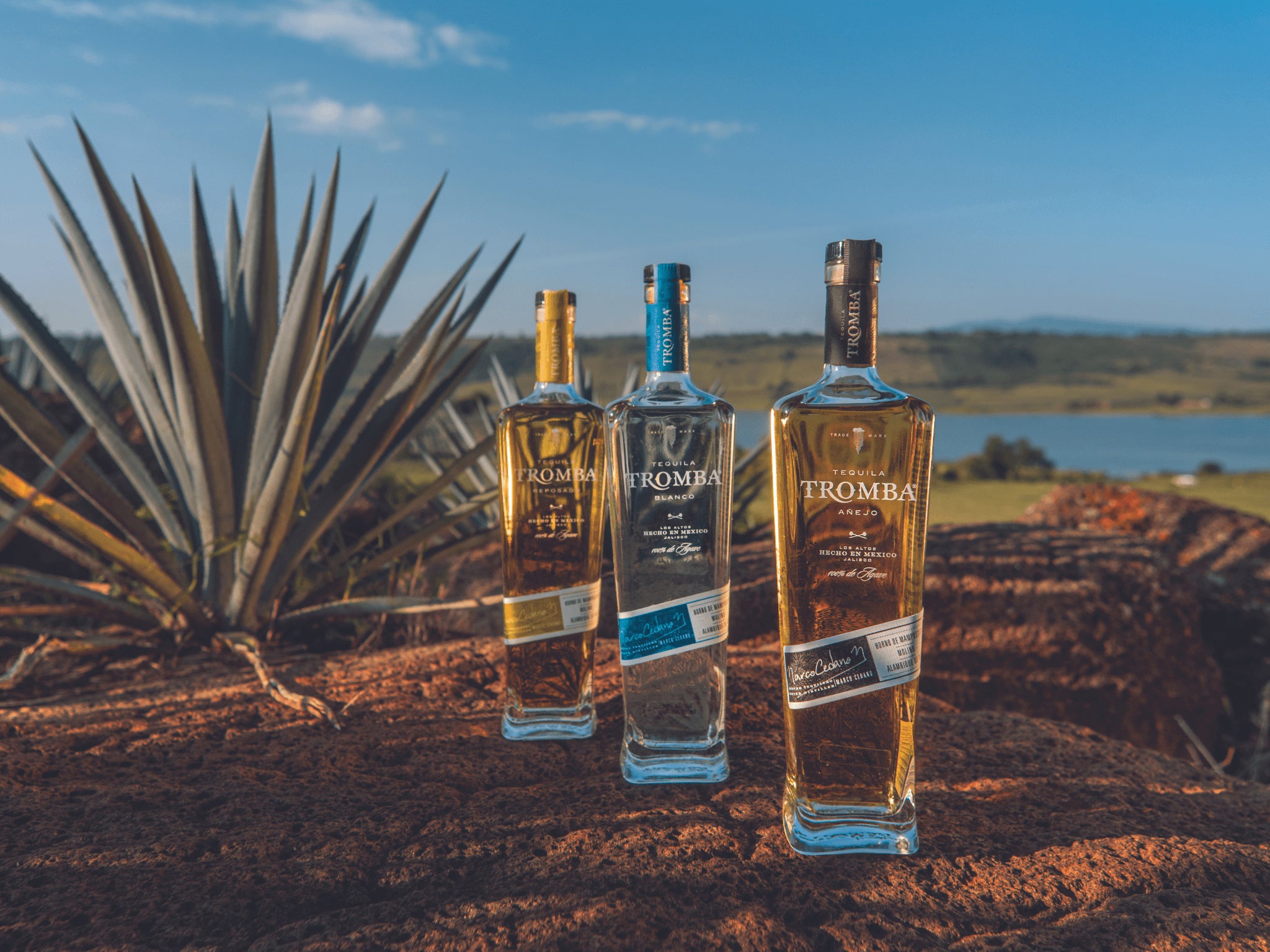 Tromba Tequila – San Francisco Tequila Shop