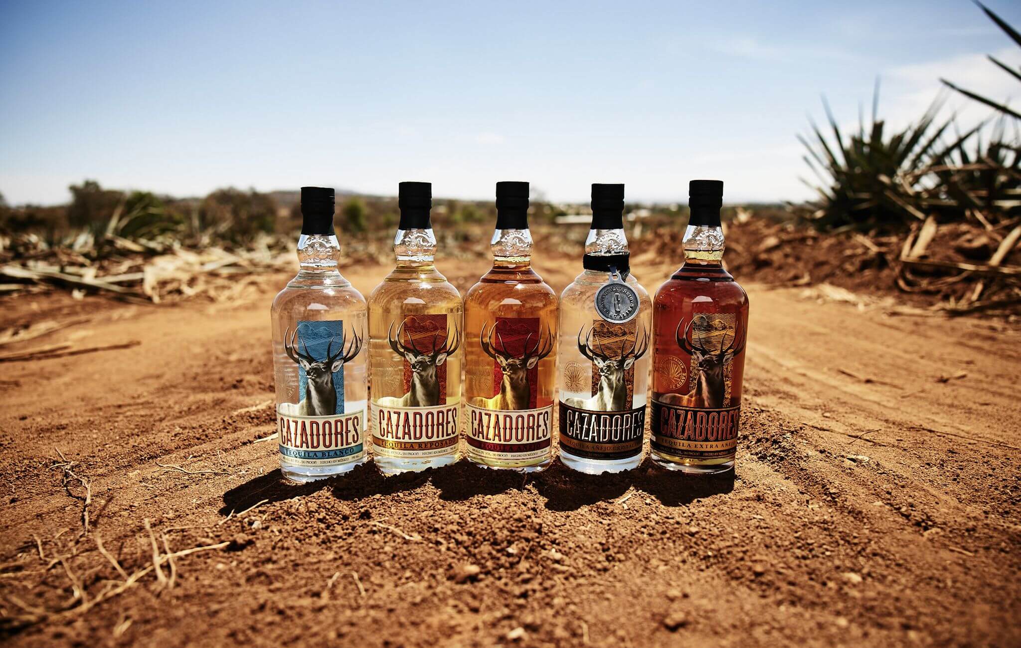 Cazadores Tequila – San Francisco Tequila Shop