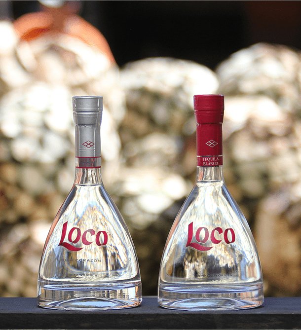 Loco Tequila – San Francisco Tequila Shop